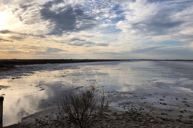 Safari 4x4 Camargue 2 hours - Saintes Maries de la Mer - Private Tour - Final Thoughts