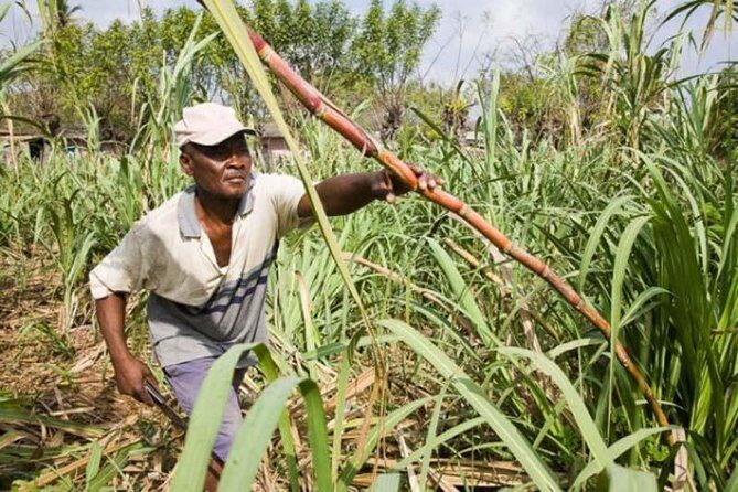 Safari Adventure - Full Day - From Punta Cana - FAQ