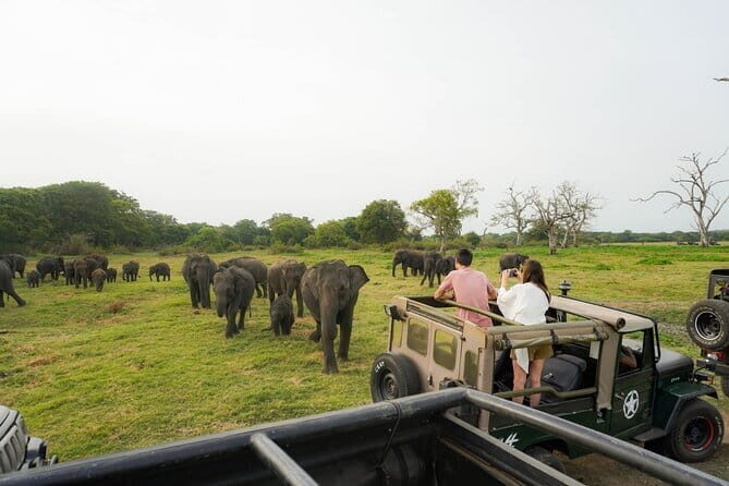 Safari Adventure in Hurulu Eco Park Sri Lanka - The Sum Up: Should You Book This Safari?