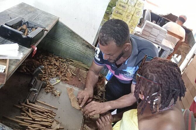 Safari Adventure in Punta Cana - Who Will Love This Tour?