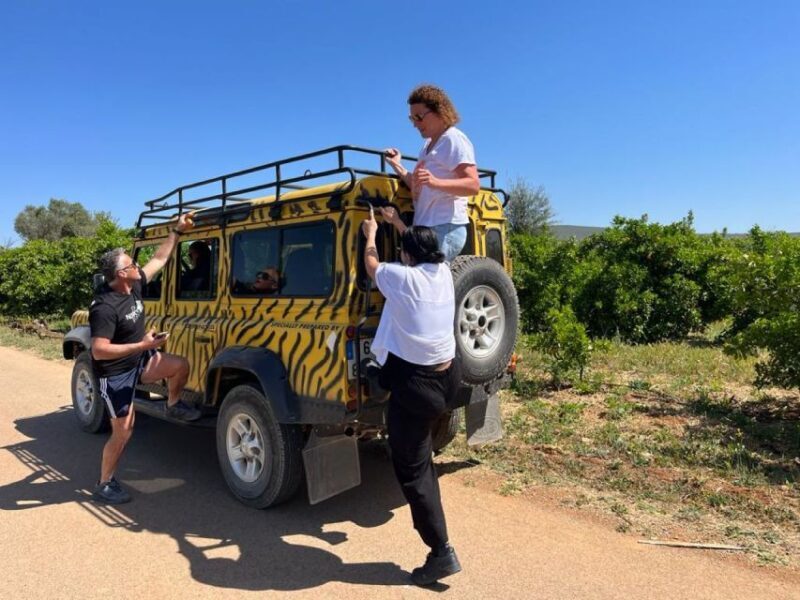 Safari & Boat Tour - Mountains & Dolphins - Key Points