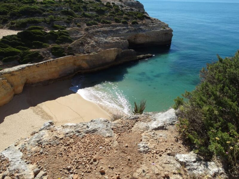 Safari Come and Discover Lagos Sagres Guided Tour - The Value of Guided Transportation