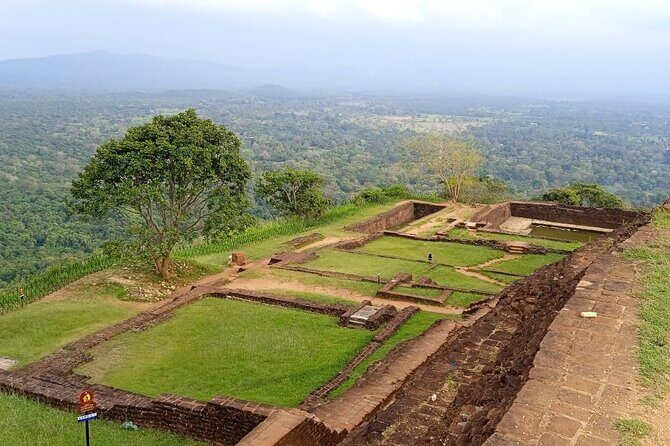Safari Day Tour to Sigiriya Lion Rock and Golden Cave Temple - Summary: Is This Tour Worth It?