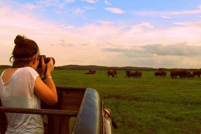 Safari Excursion tour (4 Days, 3 Nights) - Appreciating the Balance of Nature and Culture