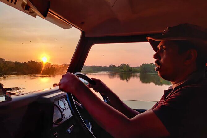 Safari Expedition's in Wild Wonders of Yala - Introduction: A Well-Organized Peek into Yala’s Wilderness