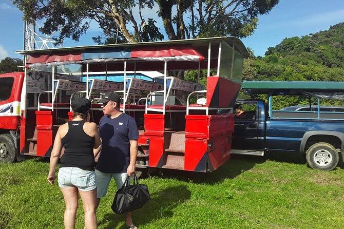 Safari Extravaganza - An In-Depth Look at the Safari Extravaganza Experience