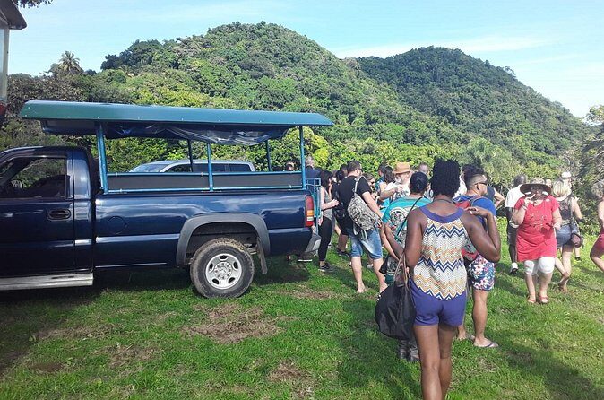 Safari Extravaganza - Final Thoughts