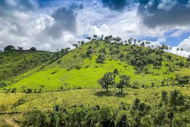 Safari Half Day Experience from Punta Cana - The Sum Up