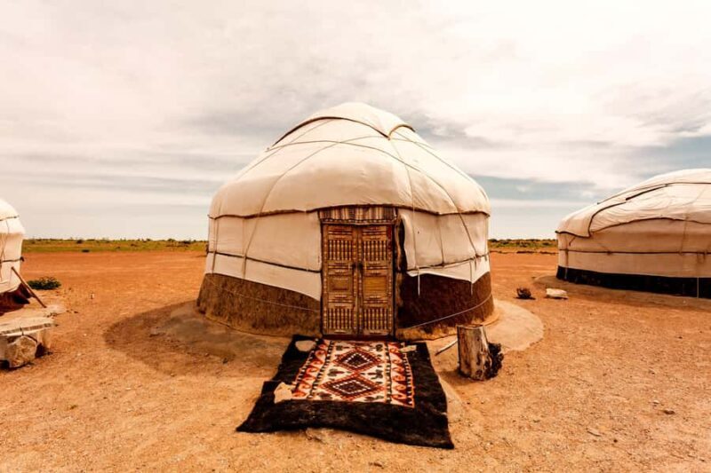 Safari in Kyzylkoum and Lake Aydar (2 days): yurt camping and more! - What Makes This Tour Stand Out