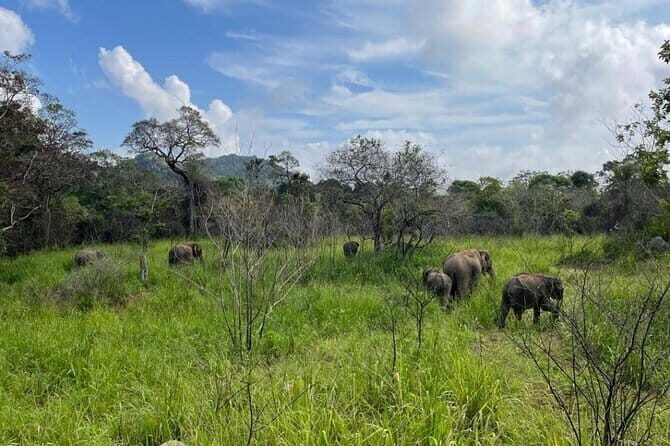 Safari Jeep in Hurulu Eco Park Sri Lanka wit Pigeon Island Tours - The Itinerary in Detail