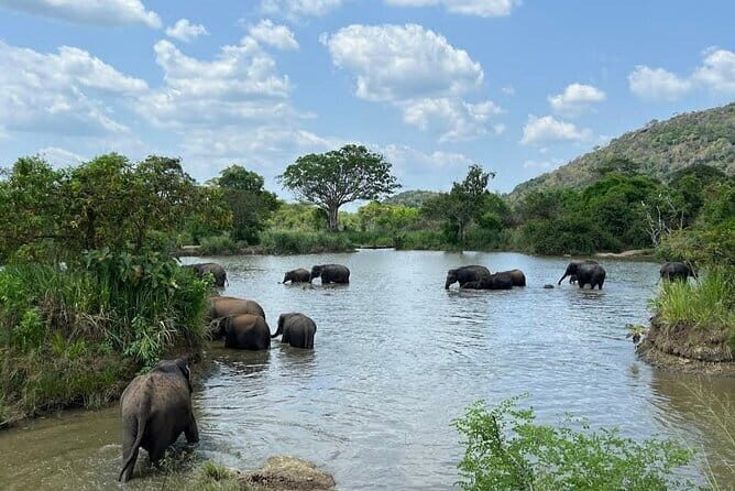 Safari Jeep in Hurulu Eco Park Sri Lanka wit Pigeon Island Tours - What the Reviews Say