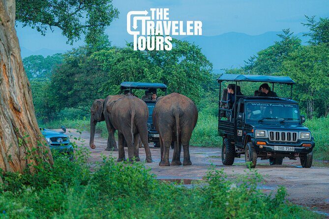 Safari Jeep Tour In Udawalawa Park Sri Lanka - Key Points