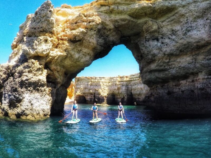 Safari & Kayaking - Key Points