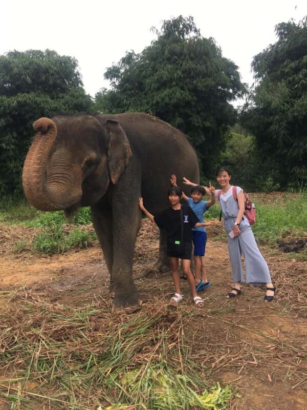 Safari Lagoi & Eco Farm Bintan - A Closer Look at the Safari Lagoi & Eco Farm Experience