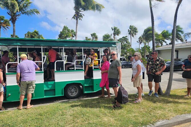 Safari Sightseeing Open Air Adventure - Introduction