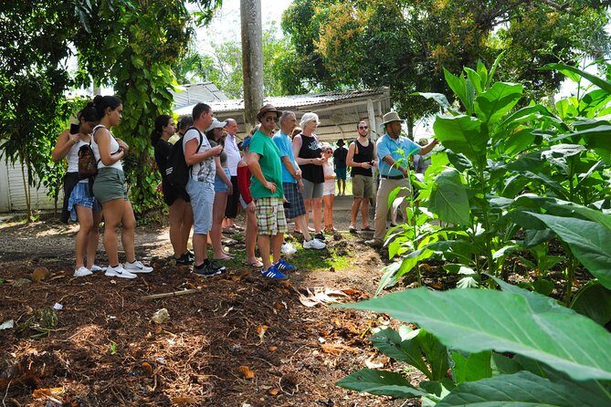 Safari Supreme Full Day Outdoor Adventure Punta Cana - FAQ