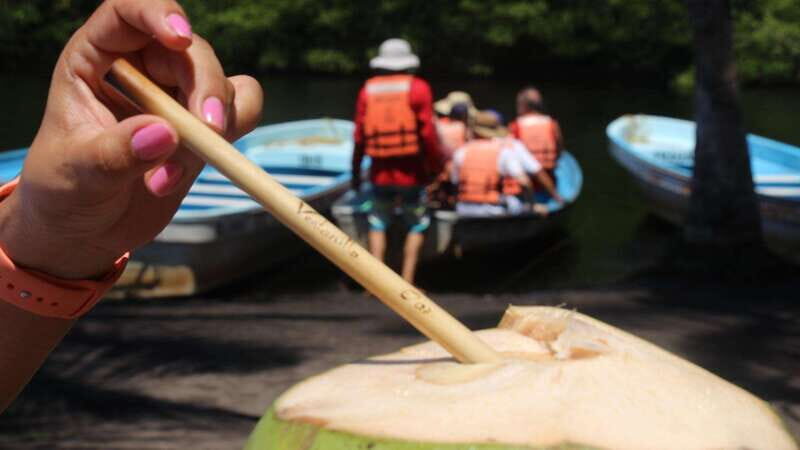 SAFARI THROUGH THE MANGROVES IN VENTANILLA OAXACA - Introduction: Why this Tour is Worth Considering
