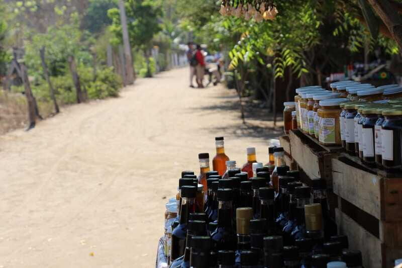 SAFARI THROUGH THE MANGROVES IN VENTANILLA OAXACA - Final Thoughts: Who Should Consider This Tour?