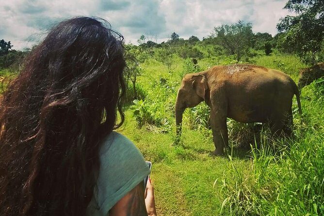 Safari Tour at Minneriya National Park - Who Would Love This Tour?