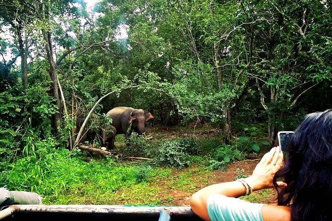 Safari Tour at Minneriya National Park - FAQ