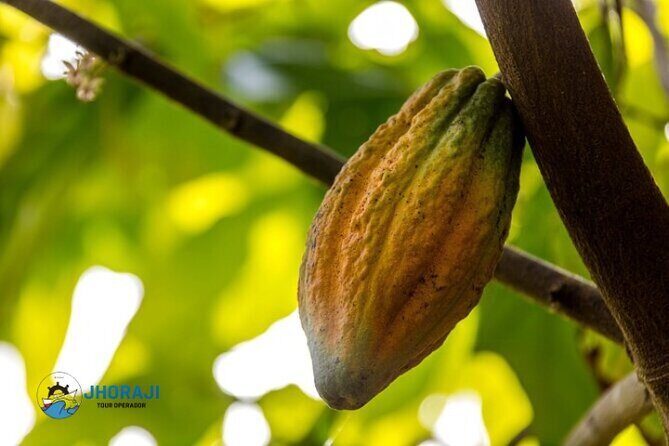 Safari tour with Jhoraji : mountain rivers and local market - Final Words