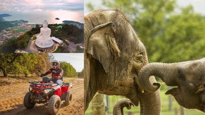 Safari Trails & Off-Road Ventures with Big Buddha - An In-Depth Look at the Experience