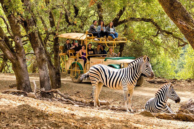 Safari West Sonoma Adventure Tour - Key Points