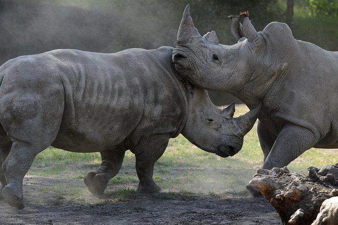 Safari West Sonoma Adventure Tour - FAQ