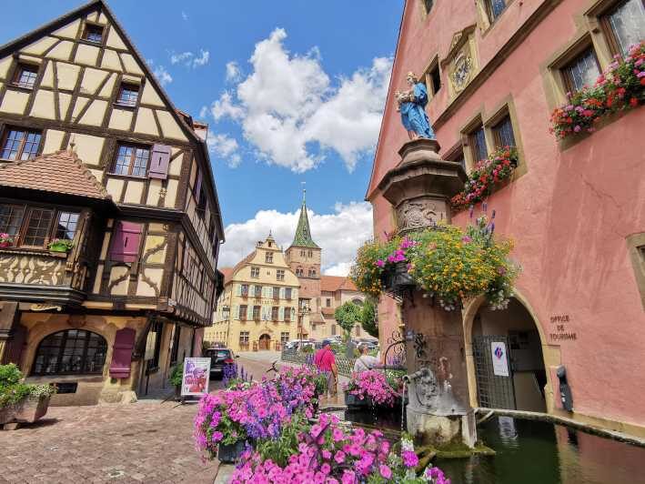 Safari Wine Villages & Wine tasting - A Well-Structured Taste of Alsace’s Charm and Flavors