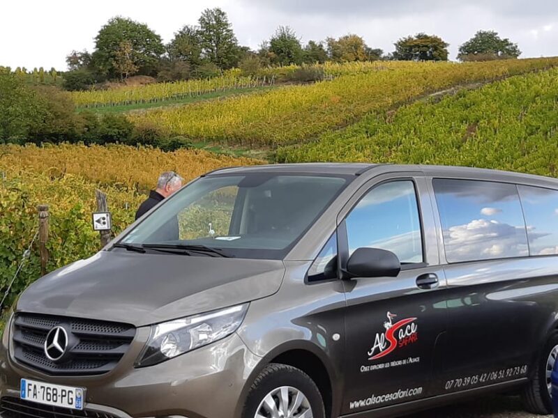 Safari Wine Villages & Wine tasting - The Sum Up: Who Should Consider This Tour?
