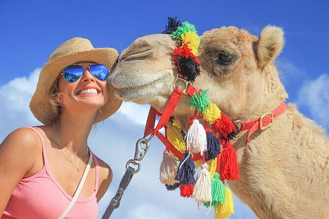 Safari with Camel Caravan to Explore Bajas Nature, Culture and Cuisine - Setting the Scene: What You Can Expect from the Tour