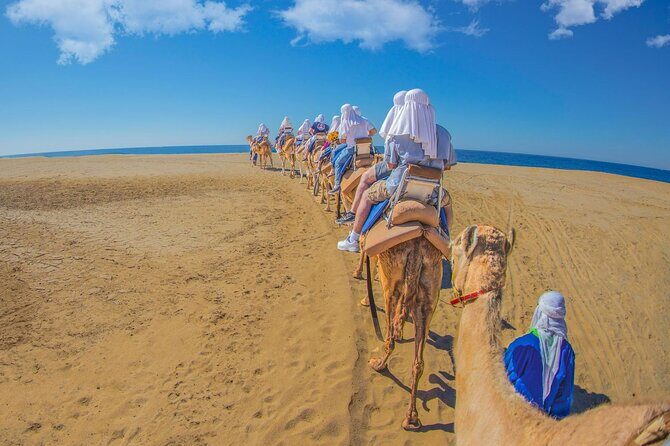 Safari with Camel Caravan to Explore Bajas Nature, Culture and Cuisine - Final Thoughts