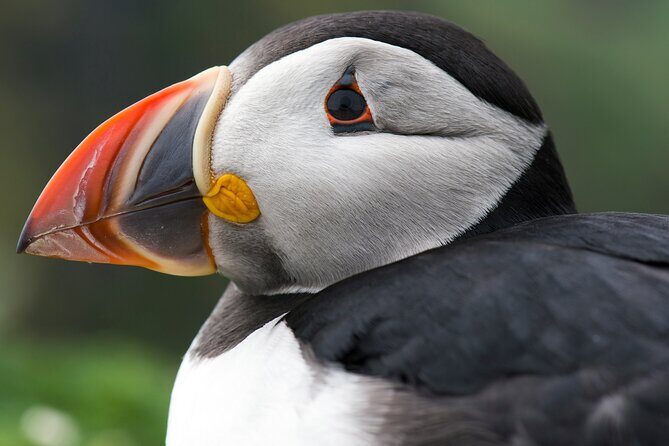 Safe Ride for Travellers to Edmonton - Key Points