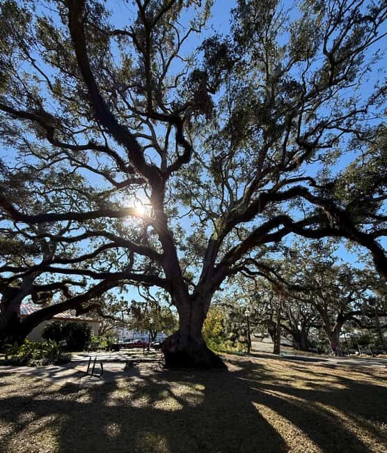 Safety Harbor: Food and Drink Tour with a Local Guide - Exploring Safety Harbor Through a Food-Focused Lens