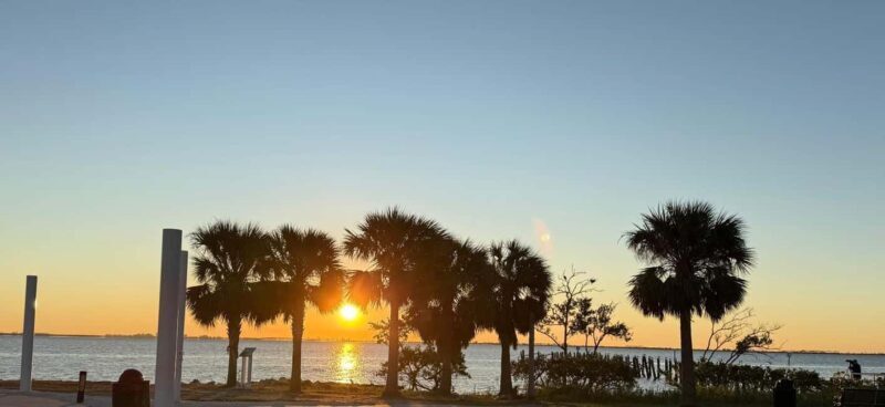 Safety Harbor: Food and Drink Tour with a Local Guide - What’s Included and What’s Not