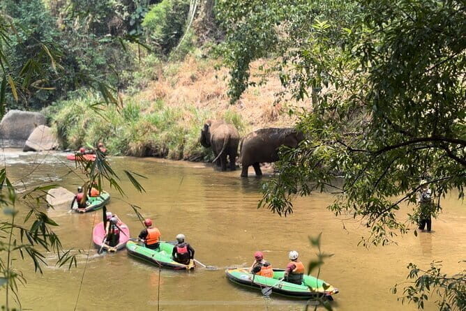 Safety whitewater rafting, Kayak, Quad bike , Trekking in Chiangmai - The Real Experience: Authenticity and Value