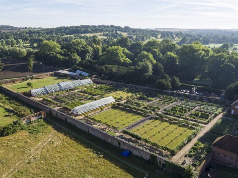 Saffron Walden: Audley End House and Gardens Ticket - FAQs