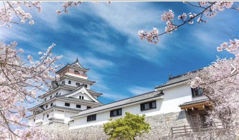 Saga Day Tour from Fukuoka: Karatsu, Arita & Ouo Shrine - FAQ