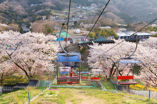 Sagamiko Resort Pleasure Forest Ticket and Ride Pass - FAQs