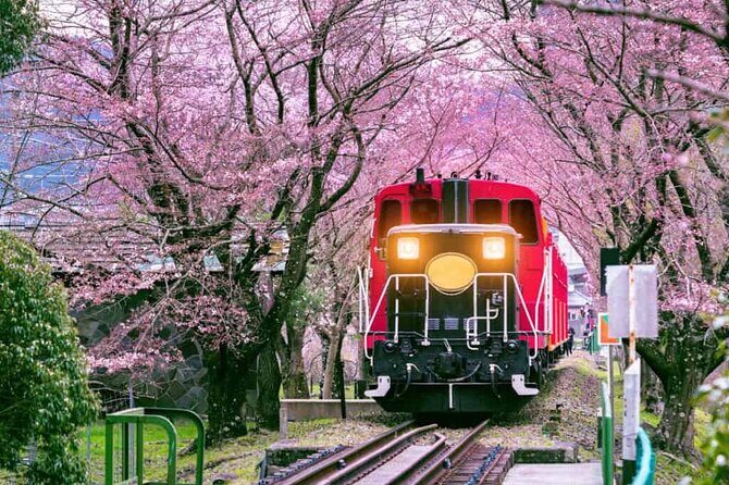Sagano Romantic Train Ticket - The Experience Itself: What You Can Expect