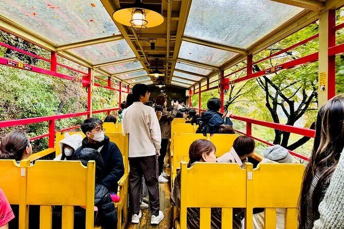 Sagano Romantic Train Ticket - Authenticity and Value: Is It Worth It?