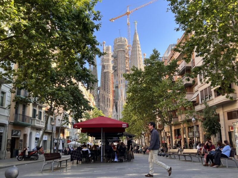 Sagrada Familia Tour with Express Entry and Local Guide - Who Should Take This Tour?