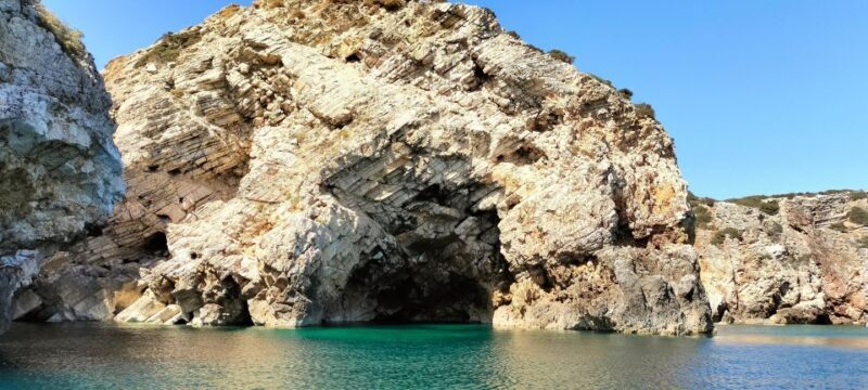 Sagres: Wildlife Tour Dolphins and Caves - What to Expect on the Tour: A Real Breakdown