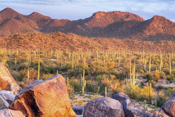 Saguaro National Park East E-Bike Tour - Frequently Asked Questions