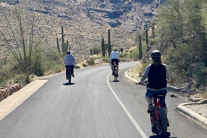 Saguaro National Park East E-Bike Tour - Final Thoughts