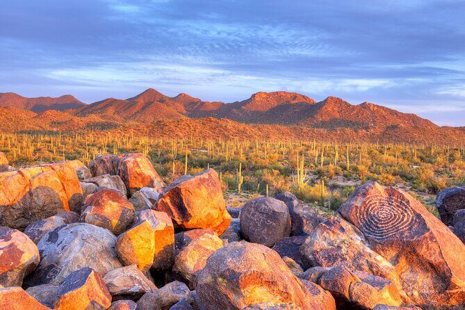 Saguaro National Park Self-Guided Audio Tour - Introduction: What Makes This Tour Stand Out?