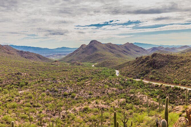 Saguaro National Park Self-Guided Audio Tour - The Bottom Line: Is It Worth It?