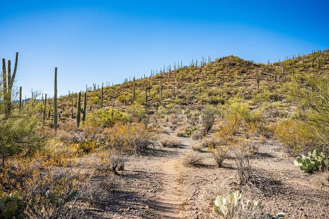 Saguaro NP and Mt. Lemmon Self Guided Driving Audio Tour Bundle - FAQs