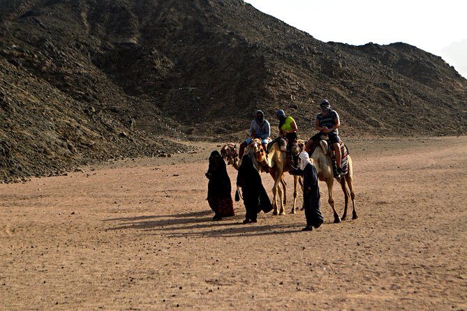 Sahara Park By Jeep - Introduction