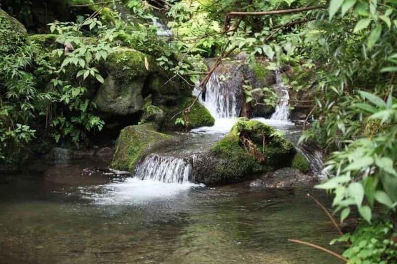 Saharanpur Uncovered: A 2-Day Escape into Culture & Craft - Key Points